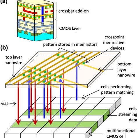 A Cartoon Of Cmol Circuits B Functional Partitioning Of The Cmol Download Scientific