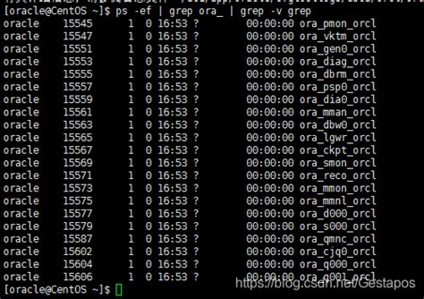 Oracle 11g 基于centos7静默安装教程无图形界面，远程安装oracle 11g基于centos7静默安装教程无图形界面远程安装 Csdn博客