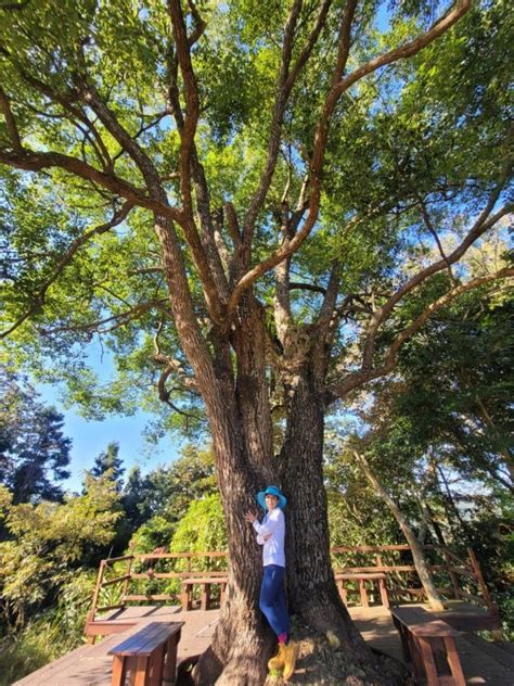 2022 027馬都安古道登熊佧山順訪南勢山北峰鷂婆山 健行筆記