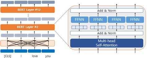 ChatGPT Bert Architecture