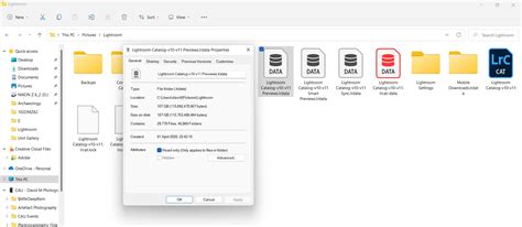 Re C Drive Memory Issue After Changing External D Adobe Community 12993362