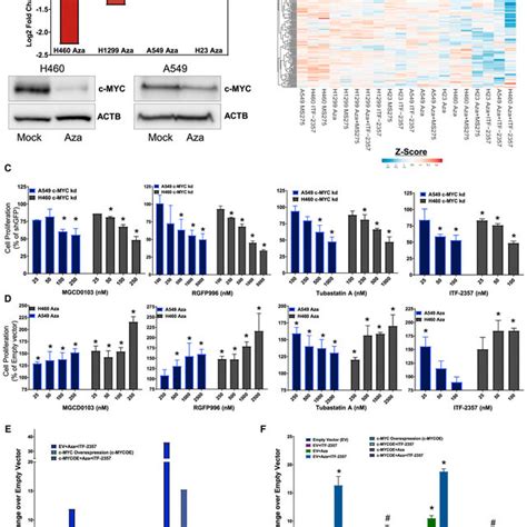Myc Perturbation Drives Aza Sensitization To Hdaci And Ifnαβ Pathway Download Scientific