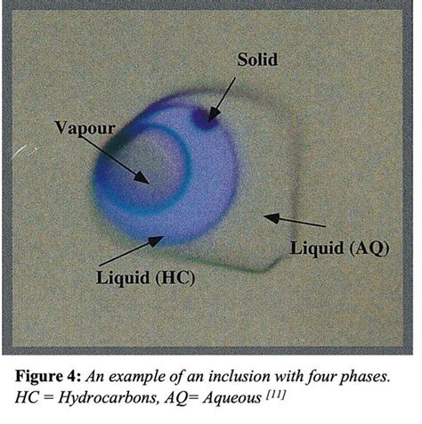 Fluid Inclusions Analysis And Applications Aapg Wiki
