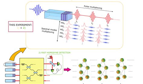 Continuous Variables Quantum Complex Networks Multimode Quantum Optics