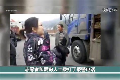 爱狗人士高速拦车救狗，950只狗却无处安身，卖儿子婚房建狗舍人士儿子