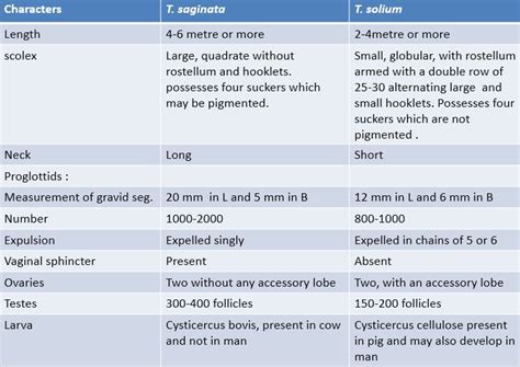 Tapeworm Introduction Morphology Life Cycle Mode Of Infection Patho