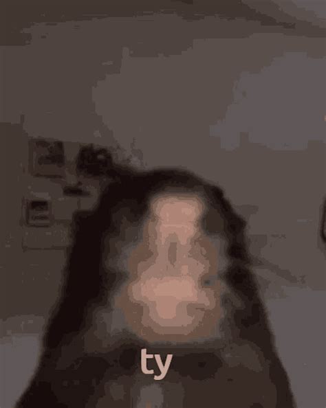 Ty  Ty  များ ရှာဖွေရန်နှင့် မျှဝေရန်