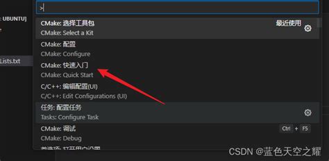 Linux上使用vscodecmake调试c代码的两种方法linux Vscode C Csdn博客