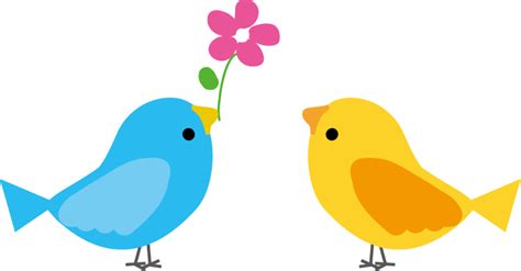 رامیز گوهری پور فرد گل