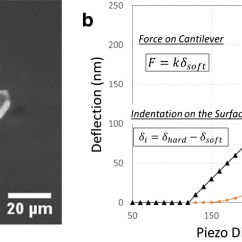 A Sem Image Of The Afm Cantilever Used In Nanoindentation Process B