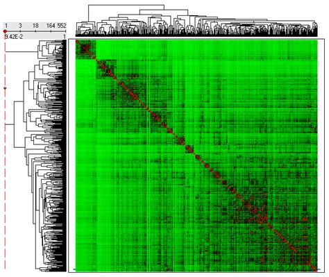 Network Clustering Network Was Clustered Based On Shortest Path Download Scientific Diagram