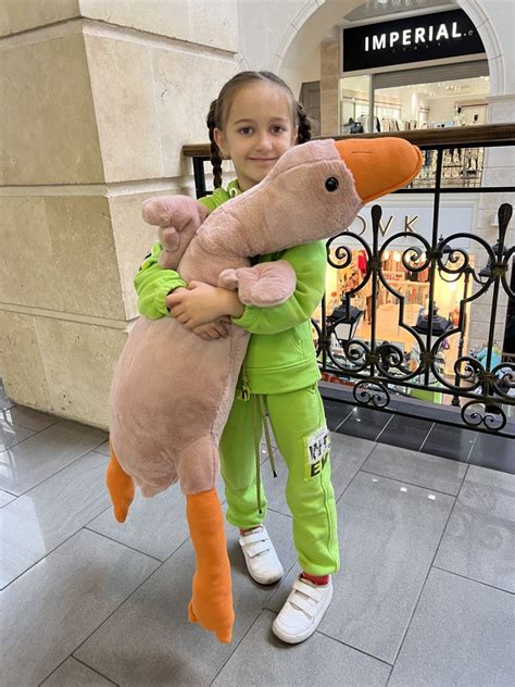 ГУСЬ ОБНІМУСЬ іграшка гусь мʼякий гусак 510 грн Мякі тварини Степова на Olx