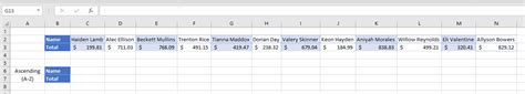 How To Use Sort Formula In Excel