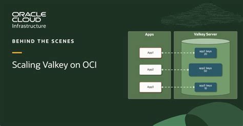 Oci Extends Valkey With Monitoring Metrics For High Performance Apps Feras Ahmad Posted On
