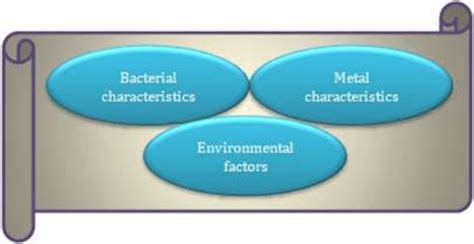Factors Affecting Bacterial Adhesion Download Scientific Diagram