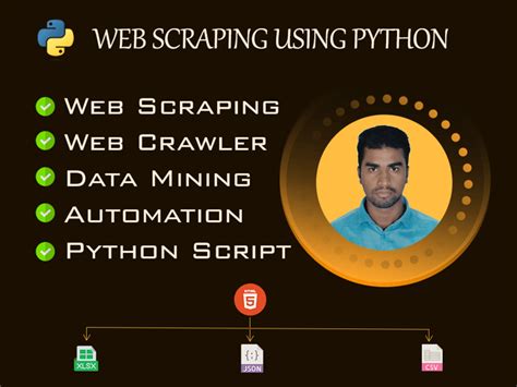 Python Script Automation And Web Scraping Service For Any Website Upwork