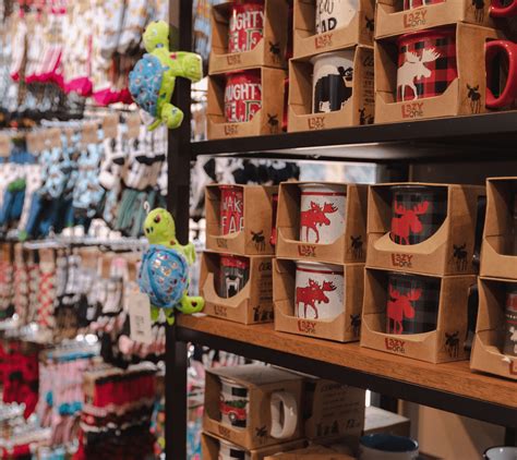 Lazy Moose The Lazy Moose Of Estes Park