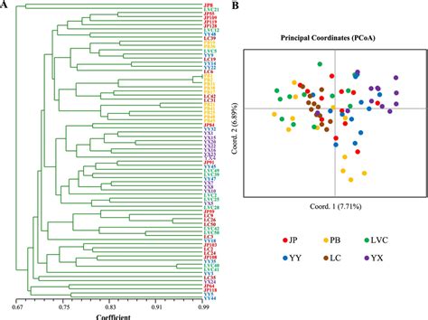 Cluster Analysis And Principal Coordinate Analysis Pcoa Based On The Download Scientific
