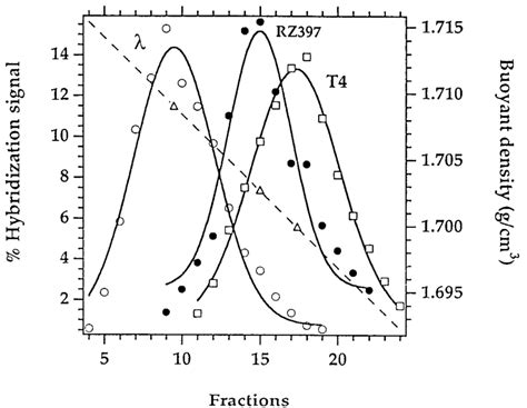 Distribution In A Shallow Cscl Gradient 14 Of Nuclear Dna From Rice Download Scientific