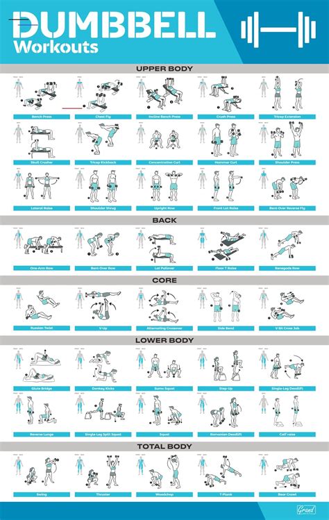 Printable Pdf Dumbbell Exercises Printable Templates