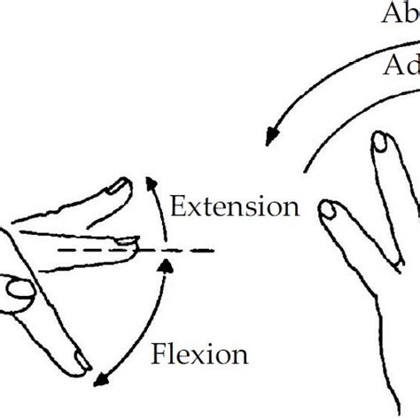 Movements Of The Hand Fingers Download Scientific Diagram