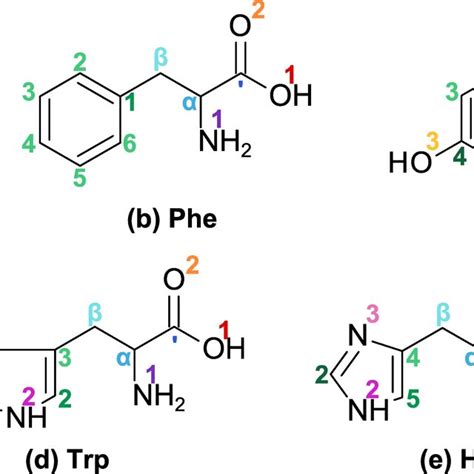 Molecular Structure Of The Amino Acids Ala Phe Tyr Trp And His As Download Scientific