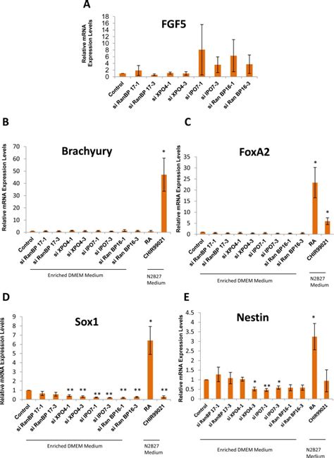 Effects Of Importin β Knockdown On The Expression Of Early Download Scientific Diagram