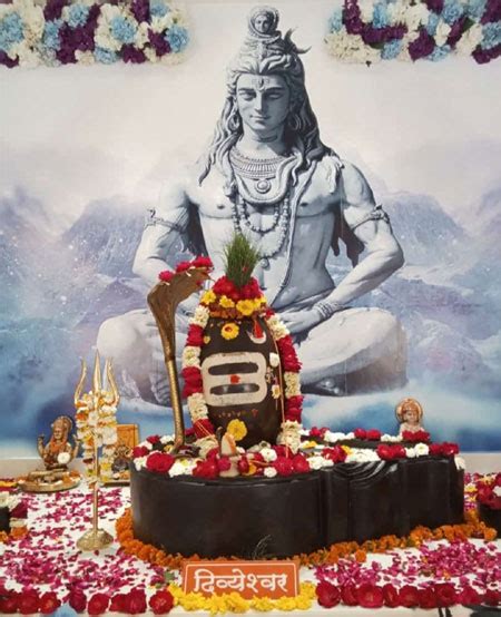 Divyeshwar Dhyan Lingam Mandir Divya Prem Sewa Mission Haridwar