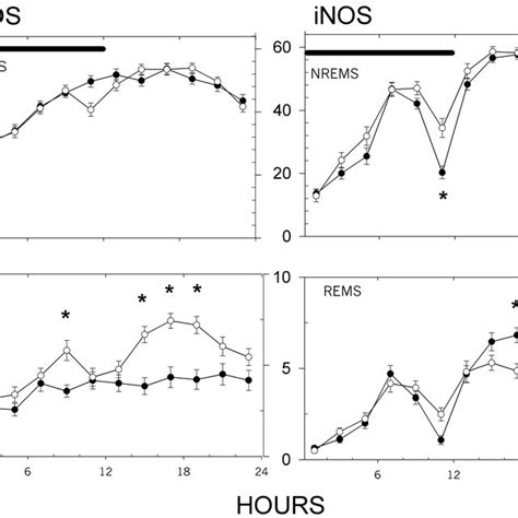 Power Spectrum Analysis For Nnos Ko And Their Controls During Nrems