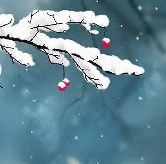 硚图云阅读 大雪夜深知雪重 节气 小雪 严凝