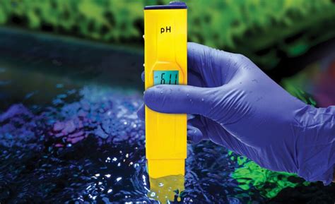 Stayin Alive How To Prevent Root Rot In Hydroponics General Hydroponics Guide