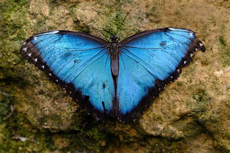 Pre Commit Useful Hooks Blognshepharddev