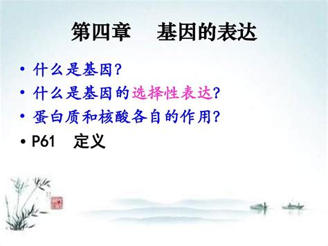 高中生物必修2第4章基因的表达ppt【精品课件】word文档在线阅读与下载无忧文档