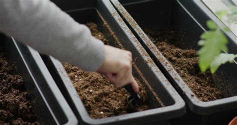 1 207 Seedling Table Stock Video Footage 4K And HD Video Clips Shutterstock