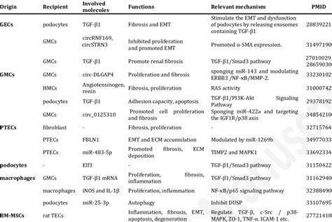 Exosomes Involved Intercellular Communications In Dkd Download