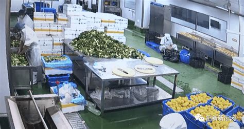 校园开学第一天孩子们吃上放心午餐 阳新 实验 中小学