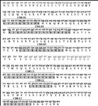 DNA Sequence And Deduced Download Scientific Diagram