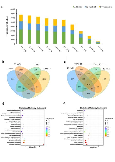 Transcripts Annotated In Four Databases A Nr Homologous Species