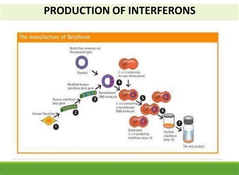 Applications Of Rdna Technology Pdf