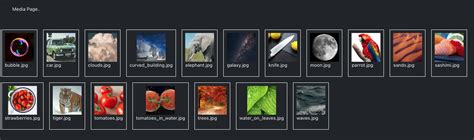 Reactjs Dynamically Import Images From A Directory Using Webpack Stack Overflow