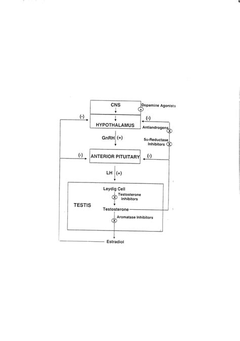 Regulation Of The Hpt Axis And Control Points For Potential Disruption