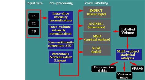 Mri Image Analysis Pipeline Multiple Input Mri Volumes Undergo