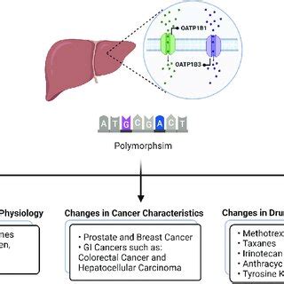 Overview Of Covered Topics Download Scientific Diagram