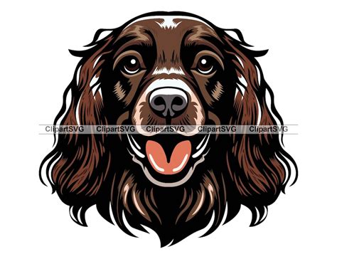 English Cocker Spaniel Smiling Dog Puppy Face Canine Animal Pet Studio