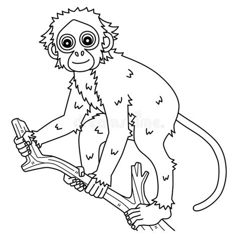Spider Monkey Coloring Page Stock Illustrations 16 Spider Monkey