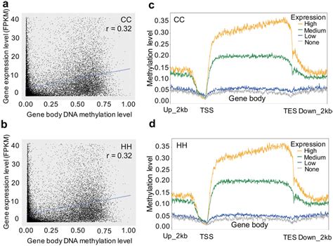 Integrative Analysis Of Dna Methylome And Transcriptome A B