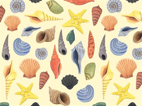 Sea Shell Pattern By Steph Brocious On Dribbble Sea Shell Pattern By Steph Brocious On Dribbble