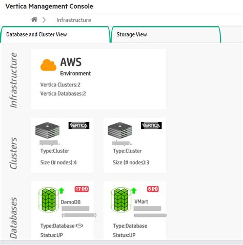 Viewing Cluster Infrastructure Vertica 120x