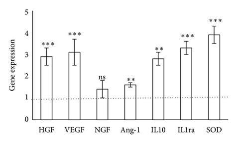 In Situ Hybridization Analysis And Gene Expression Of Hmscs Implanted Download Scientific