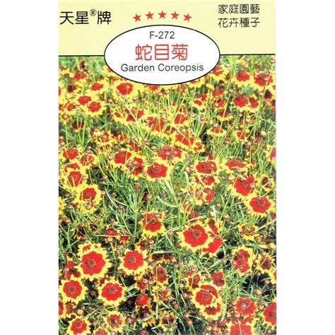 愛上種子 蛇目菊【花卉種子】天星牌 花卉小包裝種子 種子批發 Iopen Mall